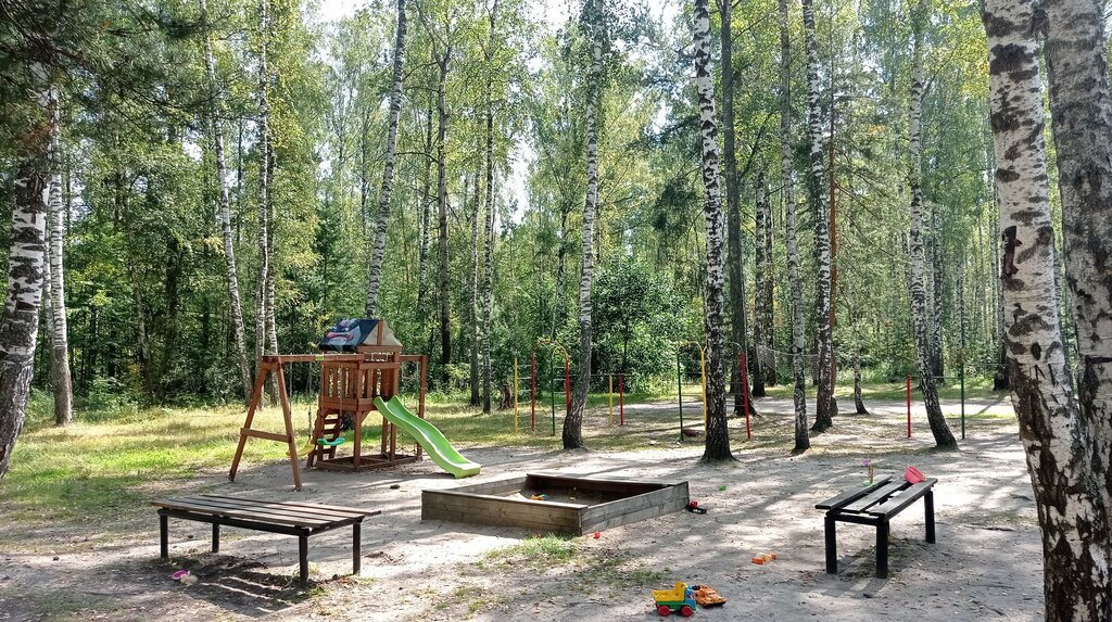 Oyun alanı Playground, Moskova ve Moskovskaya oblastı, foto
