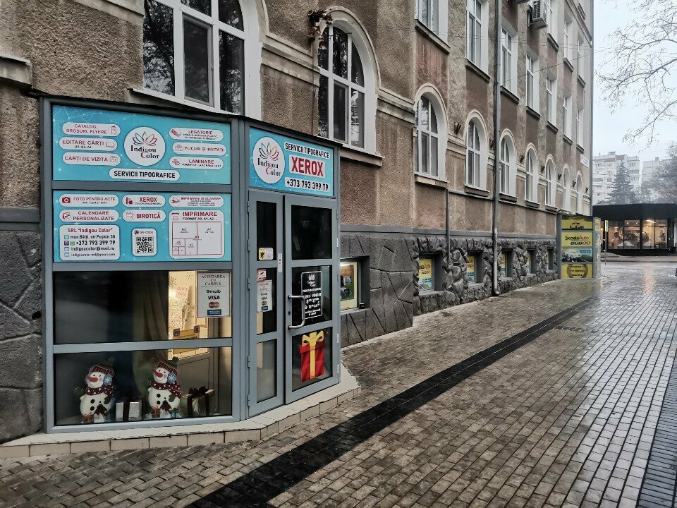 Kaplama hizmetleri Indigou Color, Beltsi, foto