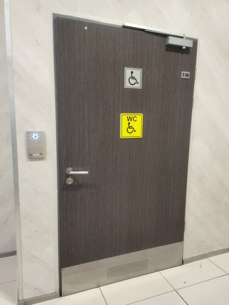 Engelliler için tuvalet Handicapped toilet, Domodedovo, foto