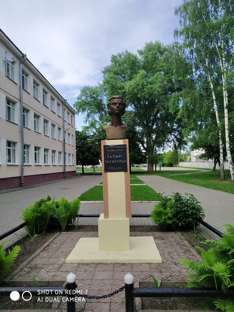 Anıt, heykel Т. Галабурда, Minsk, foto
