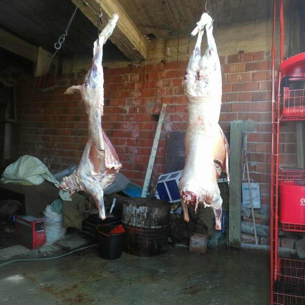 Cami Tavaklı Köyü Cami, Ezine, foto