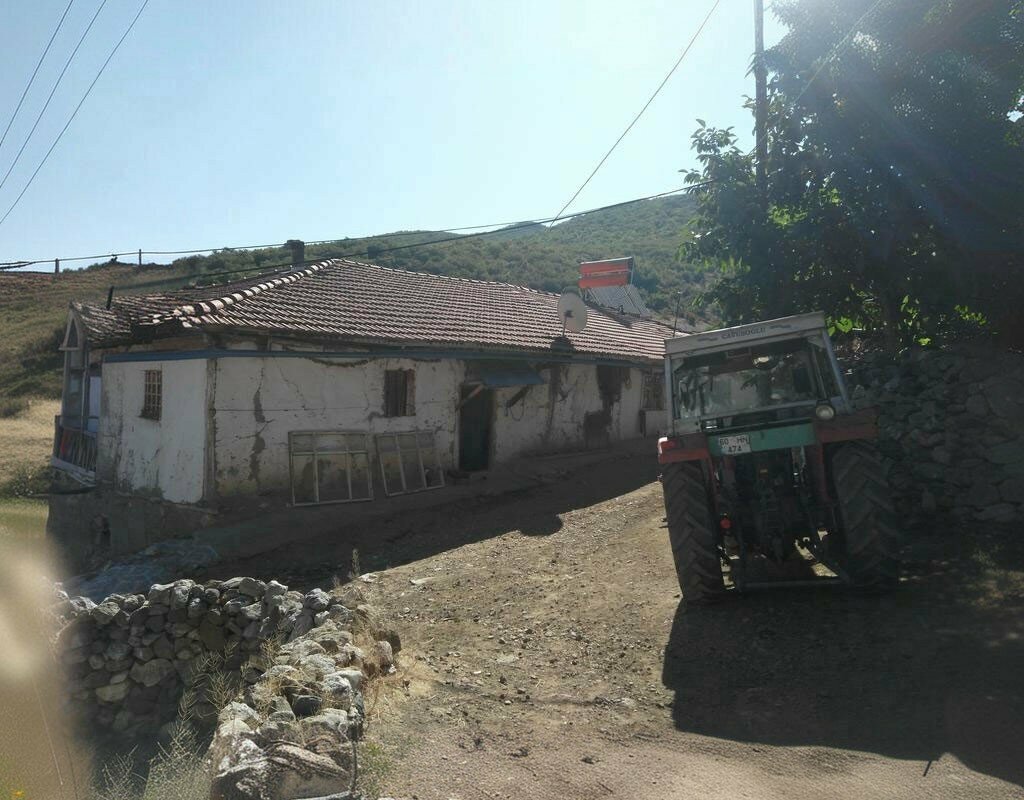 Muhtarlıklar Tanyeli Köy Muhtarlığı, Artova, foto