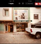Veteriner Kliniği (Ordu, Perşembe, Kozağzı Mah., Dağıstanlı Sok., 24B), veteriner klinikleri  Perşembe'den