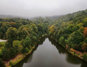 Parklar ve ormanlar Ebe Çamlığı, Domaniç, foto