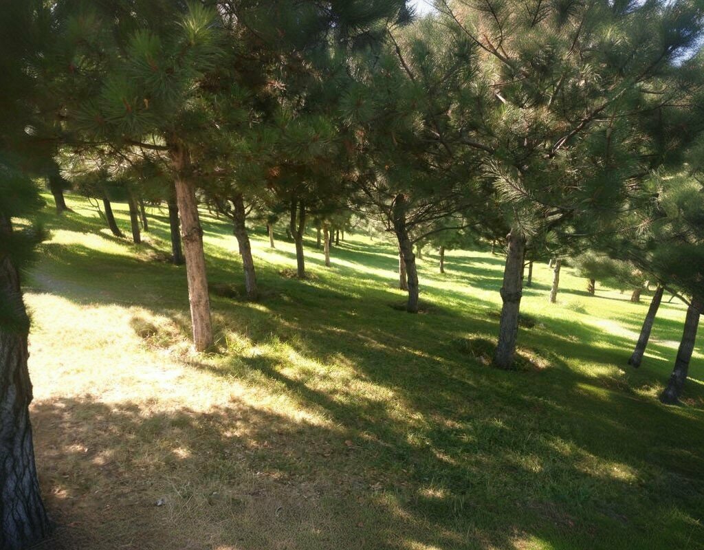 Kültür ve eğlence parkları Şehit Volkan Gürbüzer Parkı, Ankara, foto