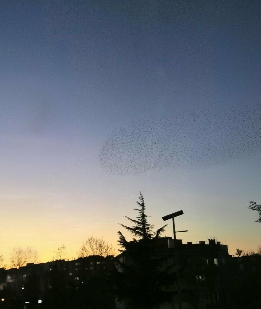 Kültür ve eğlence parkları Arif Nihat Asya Parkı, İstanbul, foto