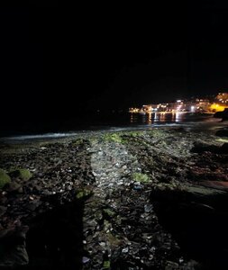 Çakıl Beach Aile Çay Bahçesi (Yalova, Armutlu, Karşıyaka Mah., Dereağzı Sok.), plaj  Armutlu'dan
