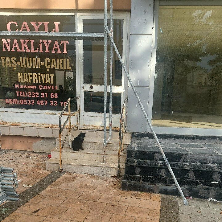 Lojistik firmaları Çaylı Nakliyat, Adana, foto