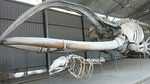 Скелет (Lenina Avenue No:5/2к3), sergi salonları, galeriler  Yakutsk'tan