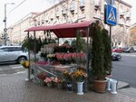 Flowers (Yerevan, Ghazar Parpetsi Street), çiçekçiler  Erivan'dan