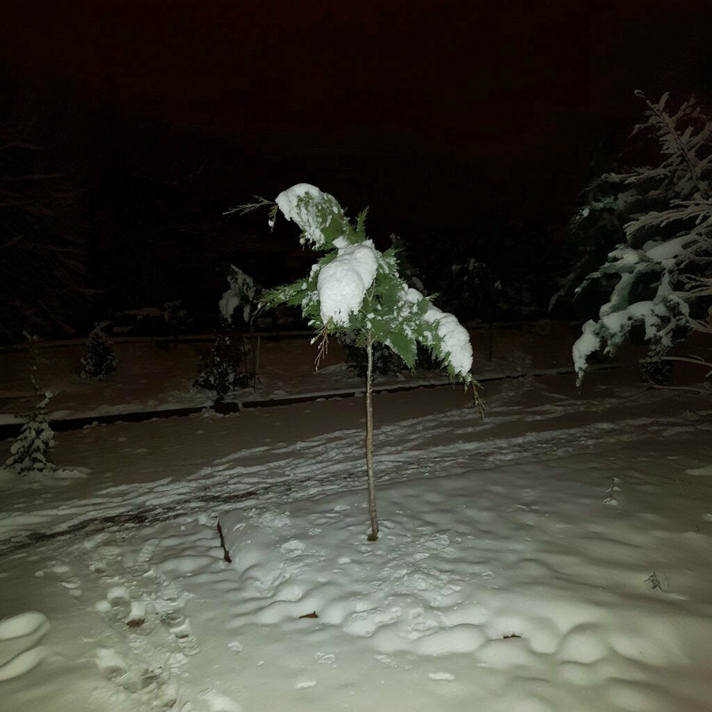 Cami Selimiye Cami, Ortaköy, foto