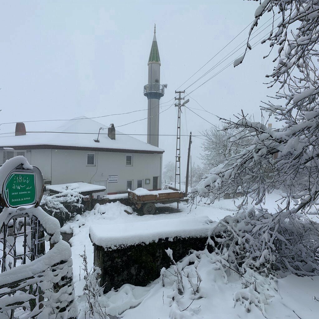 Cami Bağcığaz Köyü Rahmanoğlu Mahallesi Cami, Safranbolu, foto