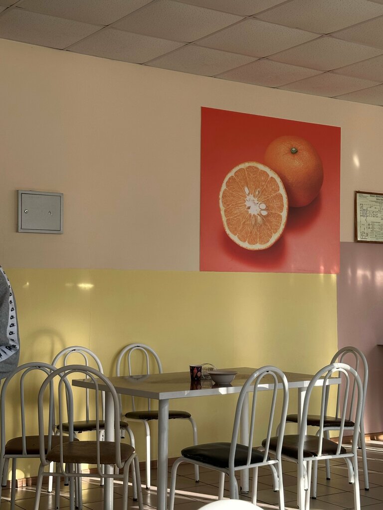 Kantin, yemekhane Столовая, Rostov‑na‑Donu, foto