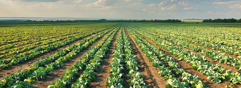 Tarım firmaları Agro Fitting, Taşkent, foto