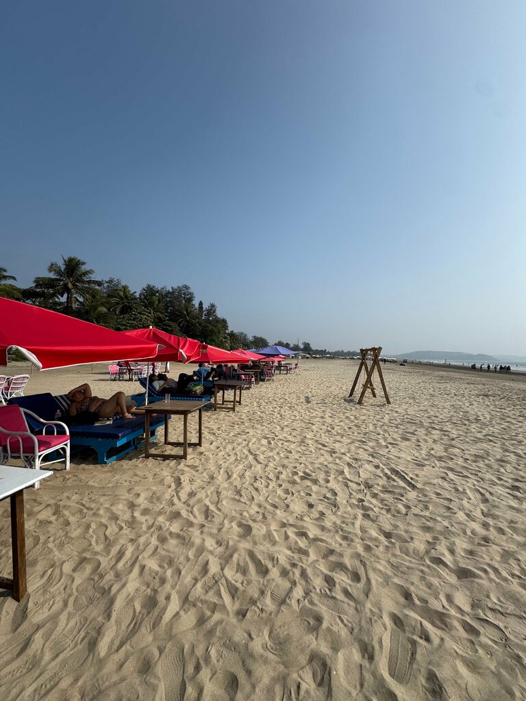 Otel Morjim Coco Palms Resort, Goa, foto