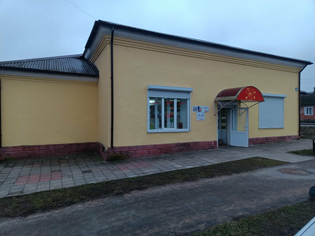 Yapı mağazası NSK Stroy+, Novosokolniky, foto