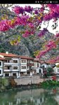 Şehrizade Yalısı (Hatuniye Mah., H. Tevfik Hafız Sok., No:23, Amasya, Amasya), otel  Amasya'dan