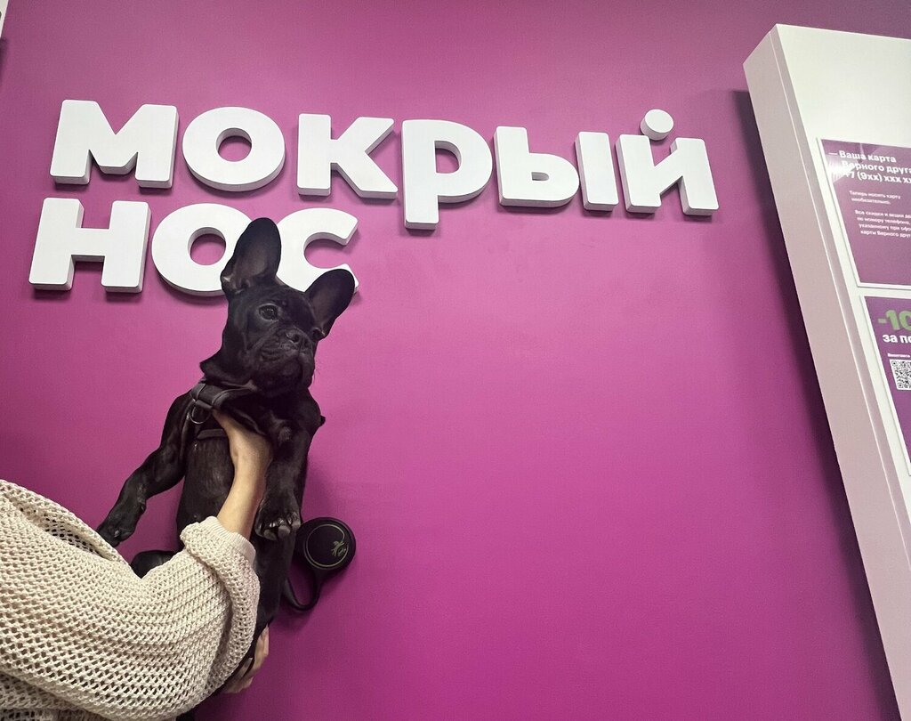 Petshop Mokryj nos, Saratov, foto