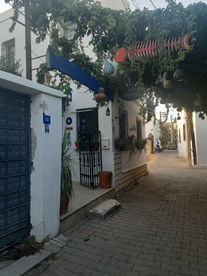Pansiyonlar, hosteller Tay Pansiyon, Bodrum, foto