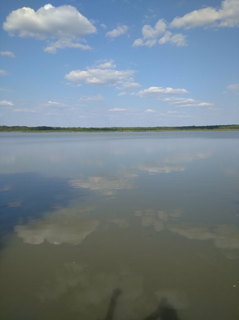Piknik alanı Место для пикника, Tambovskaya oblastı, foto
