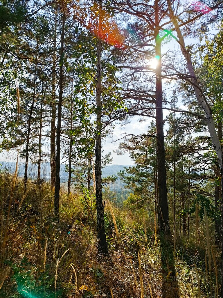 Dağ zirvesi Гора Вишнёвая 381 метров, Çeliabinskaya oblastı, foto