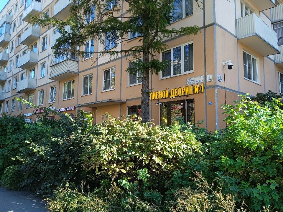 Bira dükkanı Пивной дворик №1, Saint‑Petersburg, foto