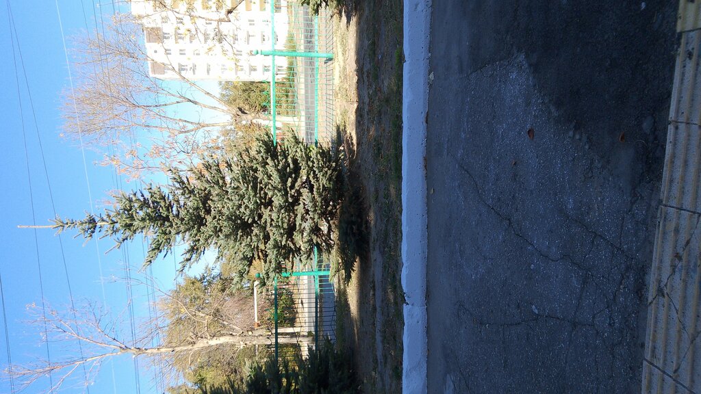 Mezarlıklar Березинореченское кладбище, Saratovskaya oblastı, foto