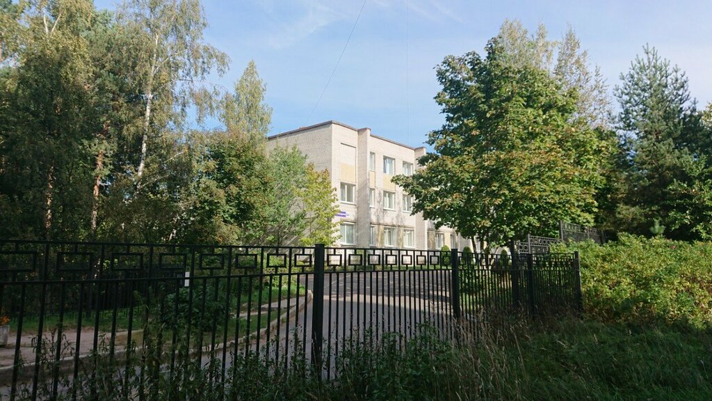 Lise Litsey № 8, Sosnoviy Bor, foto