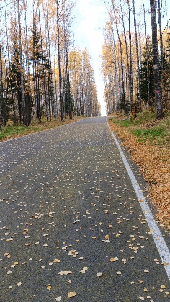 Dağ zirvesi Гора Звёздочка, Sverdlovskaya oblastı, foto