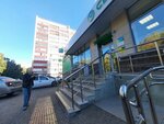 Сбер (Oktyabrya Avenue No:31, Sterlitamak), fotokopi dükkanları  Sterlitamak'tan