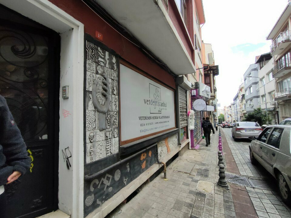 Veteriner klinikleri Vetdent İstanbul, İstanbul, foto