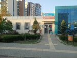 Altınşehir Mahalle Muhtarlığı (Muammer Aksoy Cad., Nilüfer, Bursa), muhtarlıklar  Bursa'dan