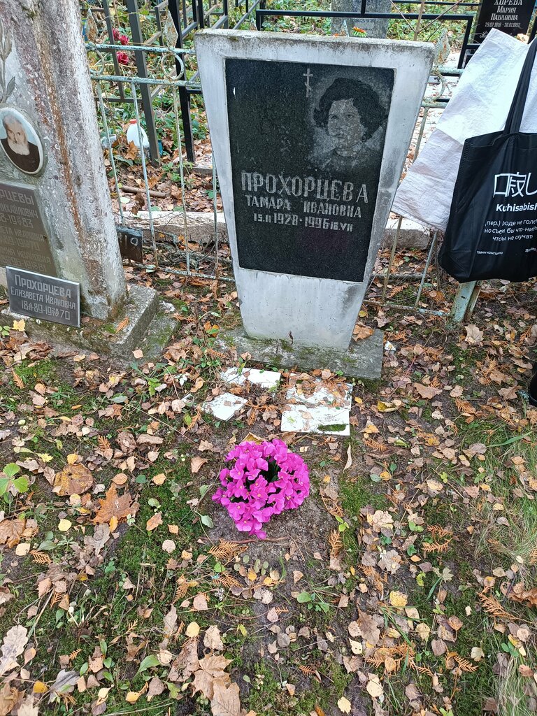 Mezarlıklar Cemetery Sokolova Pustyn, Stupino, foto