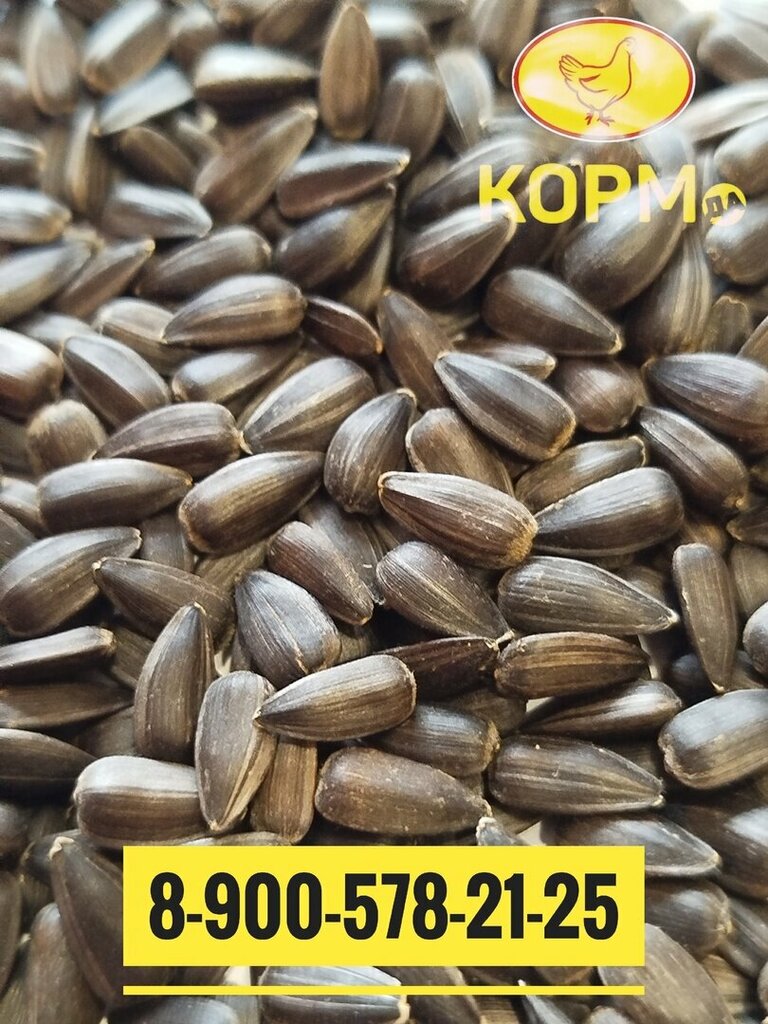 Yem ve yem katkı maddeleri КормДа, Kalujskaya oblastı, foto