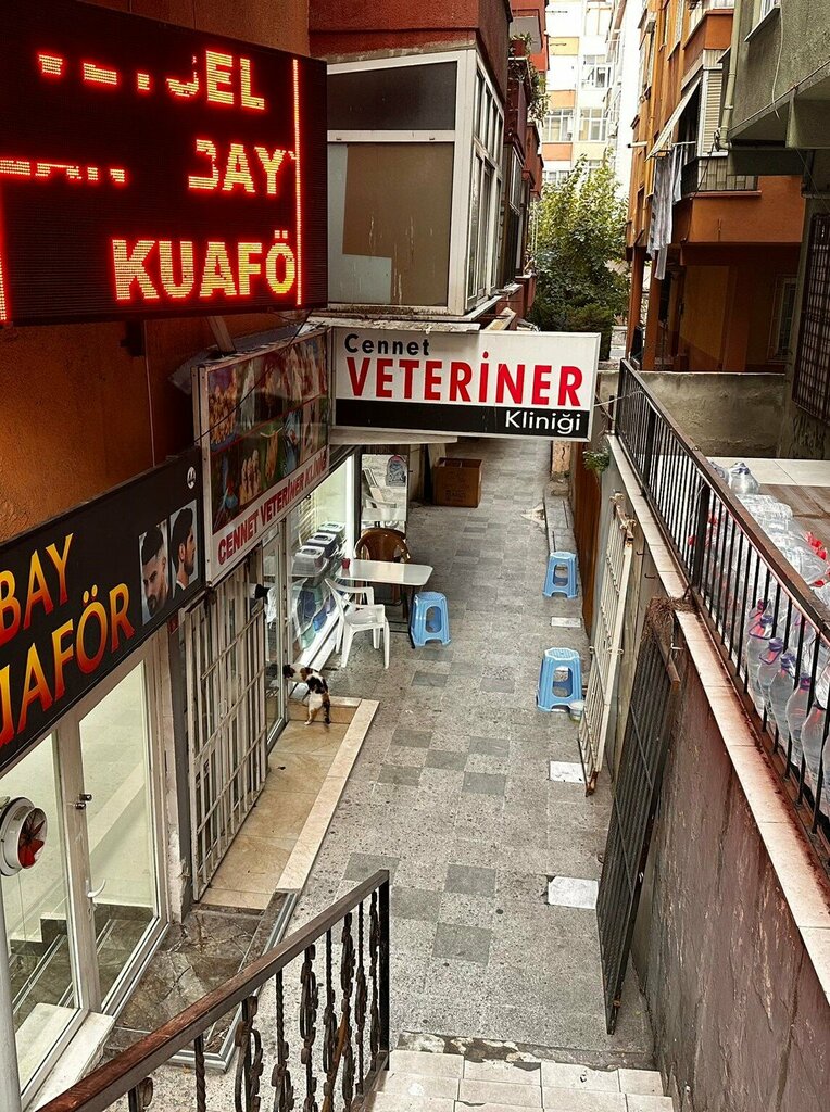 Veteriner klinikleri Cennet Veteriner Kliniği, İstanbul, foto