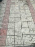 Ed Kuş Evi Pet Shop (Ankara, Mamak, Aşık Veysel Mah., Küçükkuyu Cad., 16A), petshop  Ankara'dan