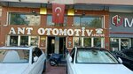Ant Motors (Antalya, Muratpaşa, Evliya Çelebi Cad., 17), otomobil satış galerileri  Antalya'dan