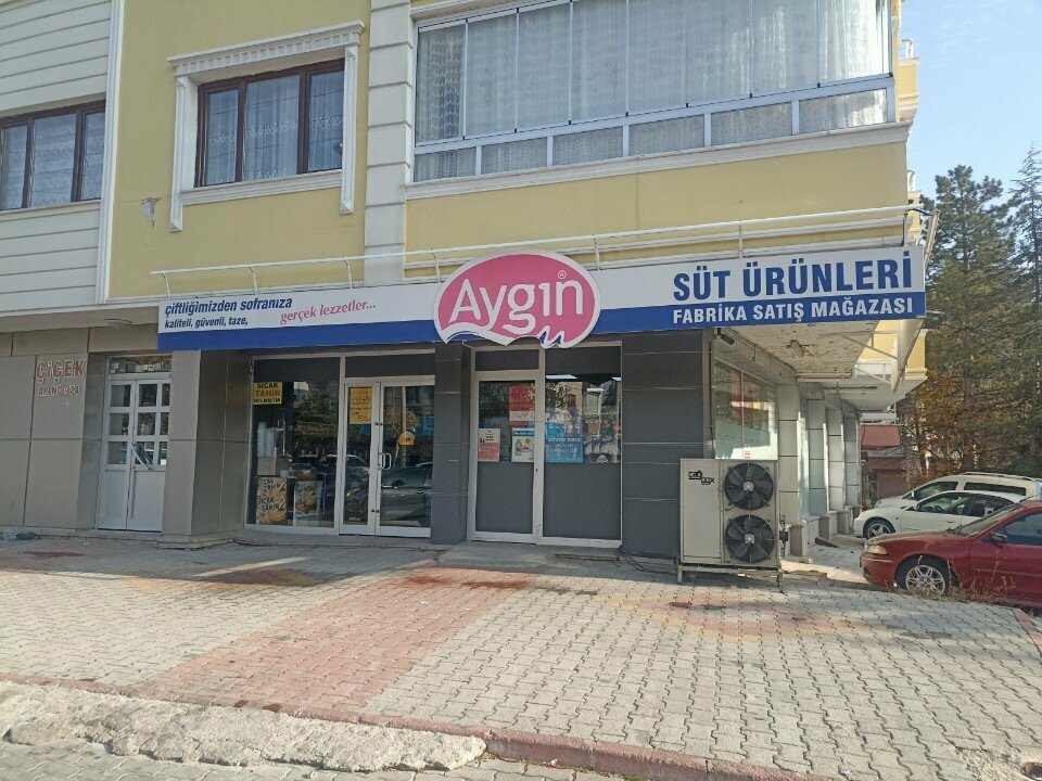 Süt ürünleri satış mağazaları Aygın, Konya, foto