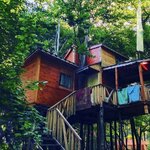 Erikli Şelalesi Kamp Alanı (Yalova, Çınarcık, Teşvikiye Beldesi, Teşvikiye Kent Ormanı), kamp alanları  Çınarcık'tan