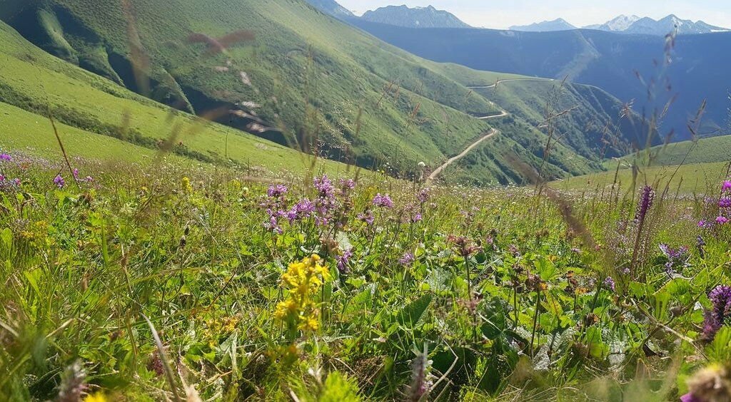 Muhtarlıklar Sivrikaya Köy Muhtarlığı, İkizdere, foto