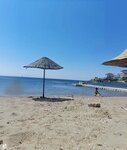 Özcan Camping (Sığacık Mah., Teos Cad., No:99, Seferihisar, İzmir), kamp alanları  Seferihisar'dan
