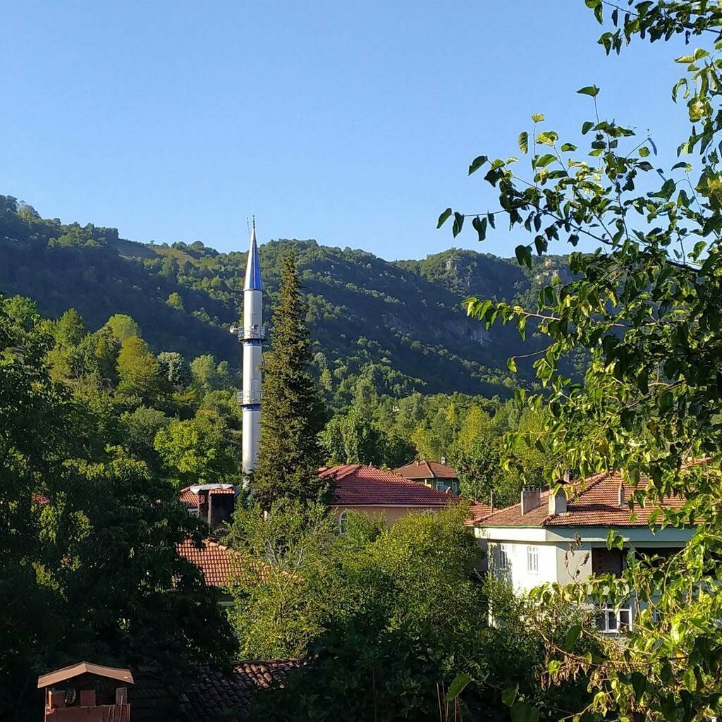 Muhtarlıklar İnciğez Köy Muhtarlığı, Amasra, foto