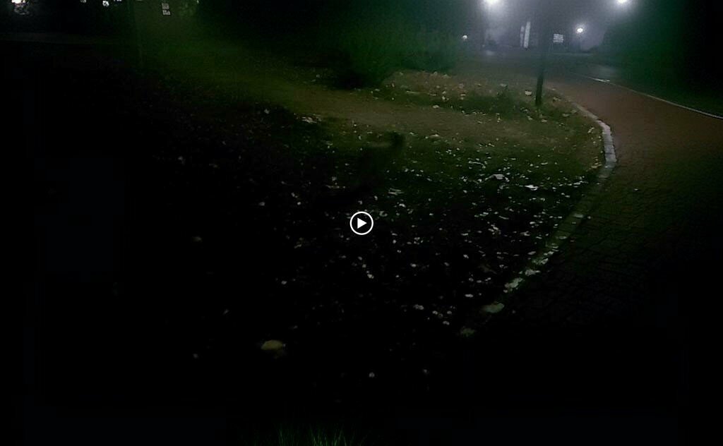 Medya ajansları Trt Sevgi Stüdyosu, Ankara, foto