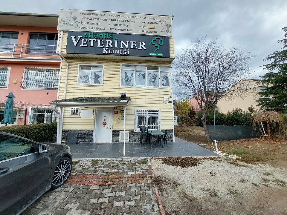 Veteriner klinikleri Atlantis Veteriner Kliniği, Ankara, foto