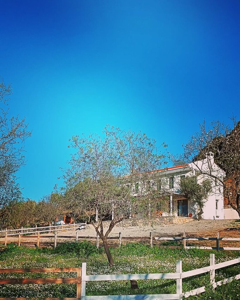 Hayvancılık Alakarga Datça, Datça, foto