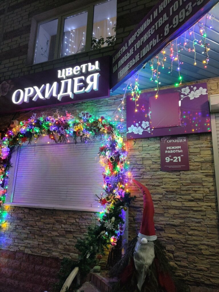 Çiçekçiler Орхидея, Beriozovski, foto