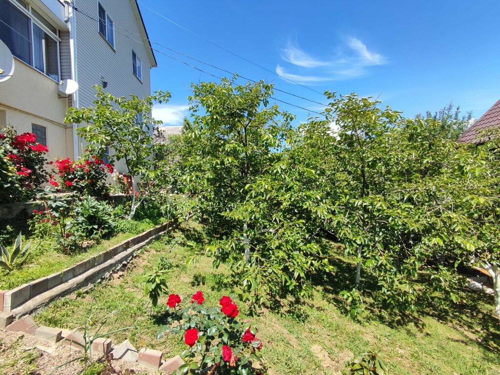 Konuk evi Гостевой дом Летний сад, Soçi, foto