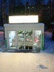 Азбука фейерверков, магазин (ulitsa Neftyanikov No:19с1), havai fişek firmaları  Nijnevartovsk'tan