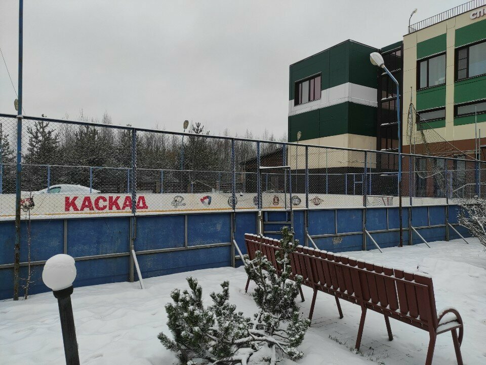 Buz pateni pistleri Ice rink, Puşkin, foto