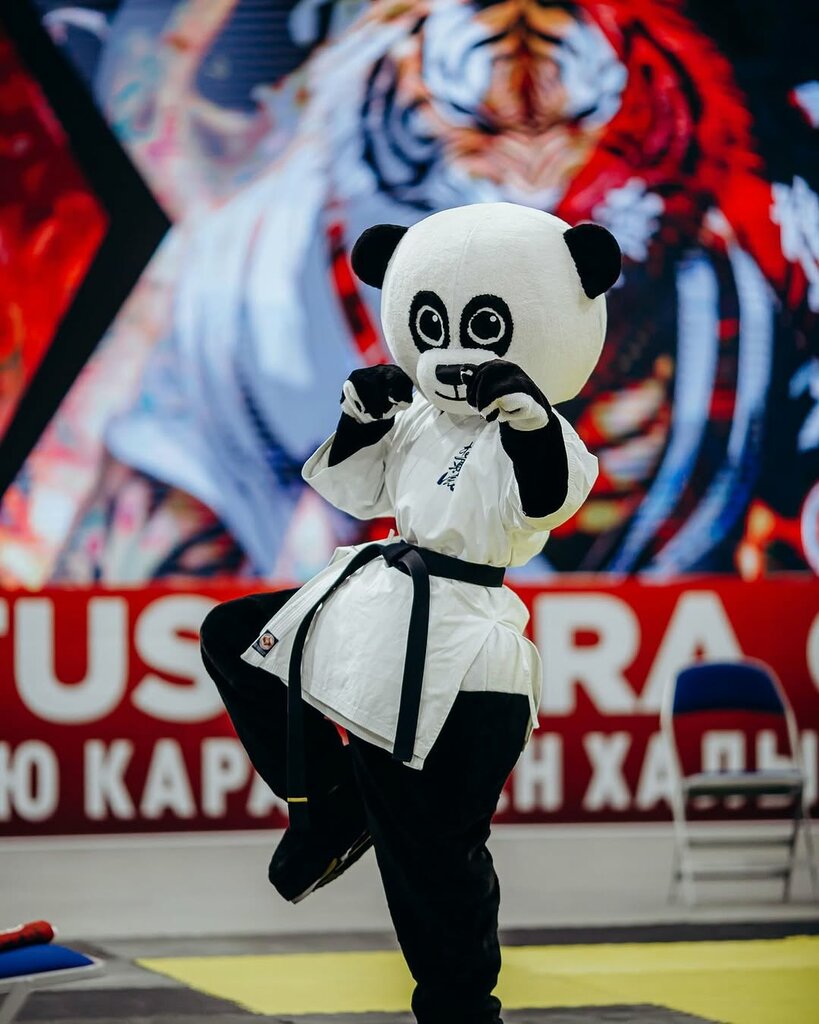 Spor kulüpleri Qazaq National Alliance KyokushinRyu, Akmola eyaleti, foto